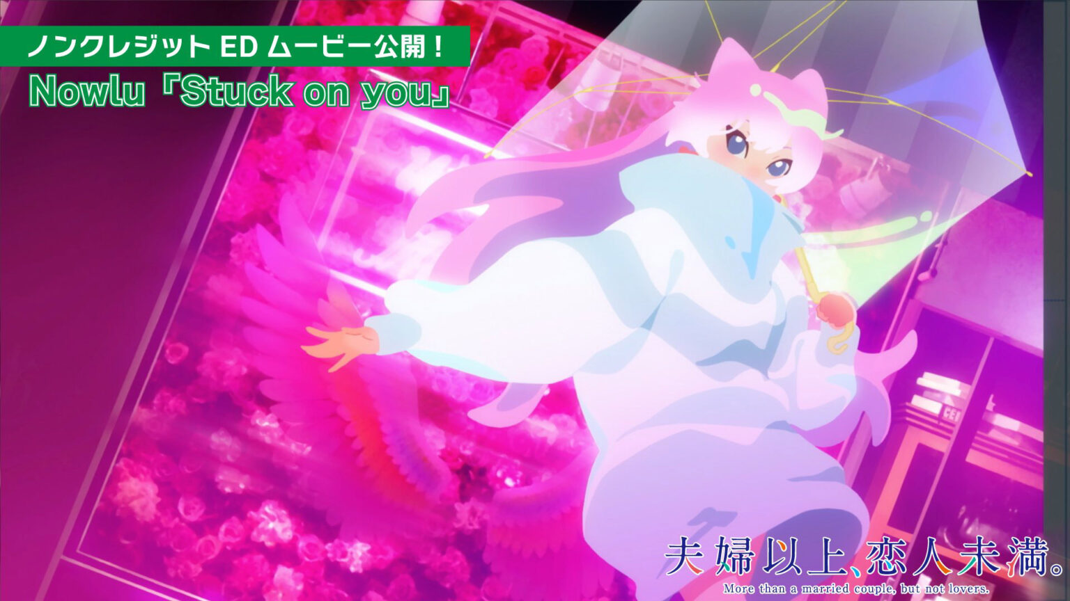 Nowlu Interview: "Stuck on you" | Ending song in 'More than a Married Couple, but Not Lovers.'